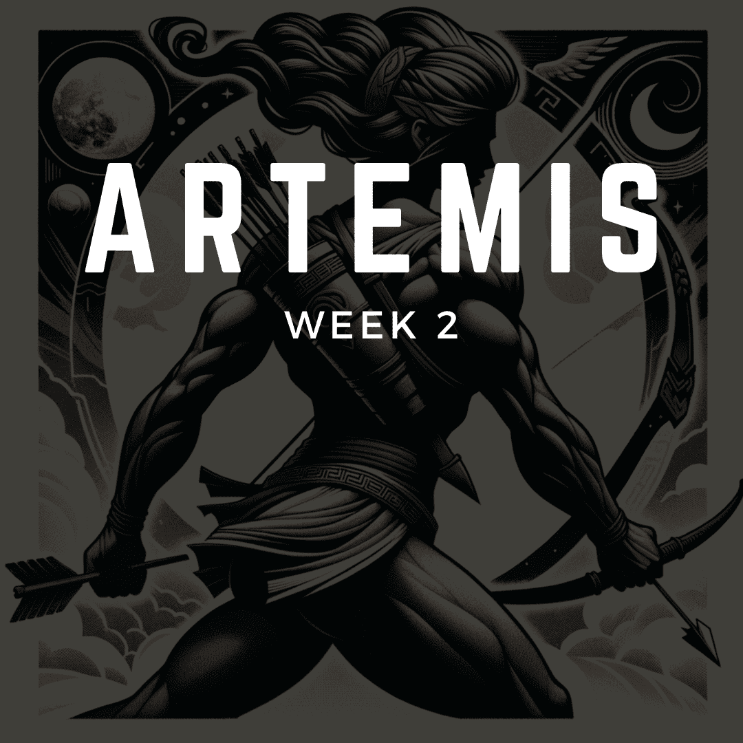 Artemis - Week 2 - Atomic Athlete